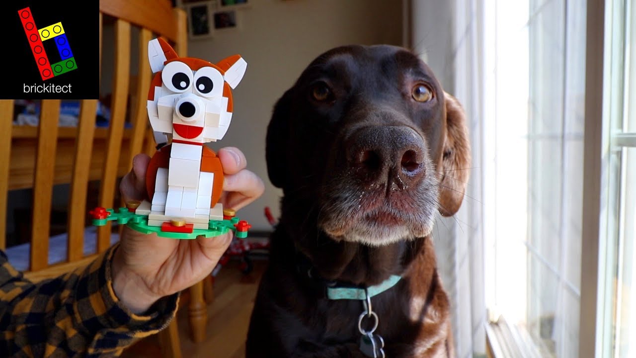 REAL DOG REVIEWS LEGO DOG! - YouTube