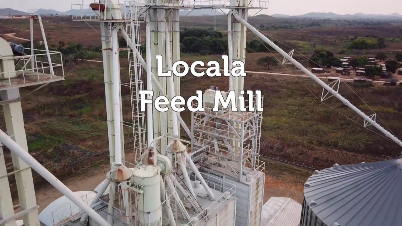 Agricultiva - Samba Lucala Grain Farm, Angola - YouTube