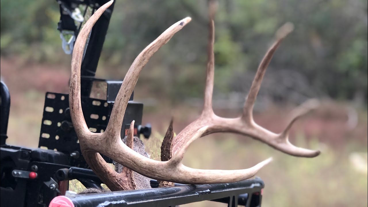 The Amish Buck Recovery 1000 yards! #thatswhatidooutdoorz - YouTube