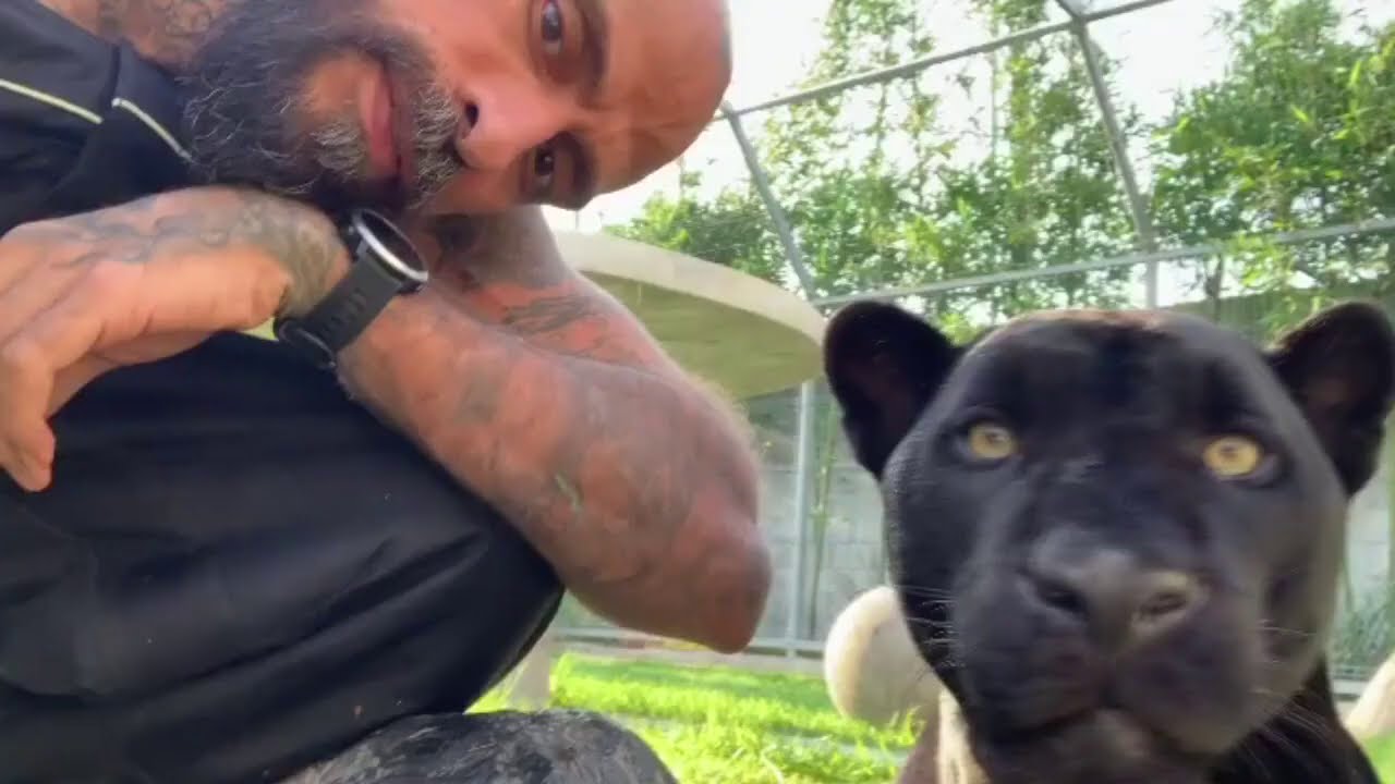 La PANTERA de BABO del CARTEL DE SANTA y su INCREÍBLE AMISTAD - YouTube