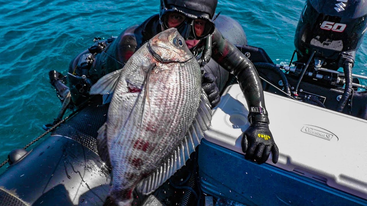 My BEST day Spearfishing in England - Catch and Cook Scallops, Crab ...