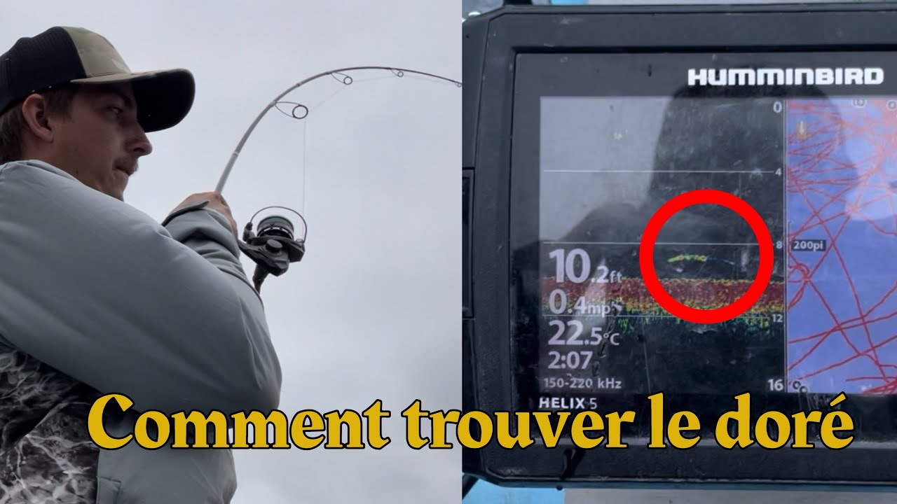 Comment trouver le doré jaune - YouTube