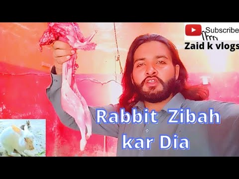 Meny White Rabbit Zibah Kar Dia 🐇|| Zaid k vlogs