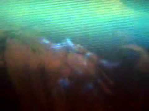 September 20, 2011 8:17 PM - YouTube