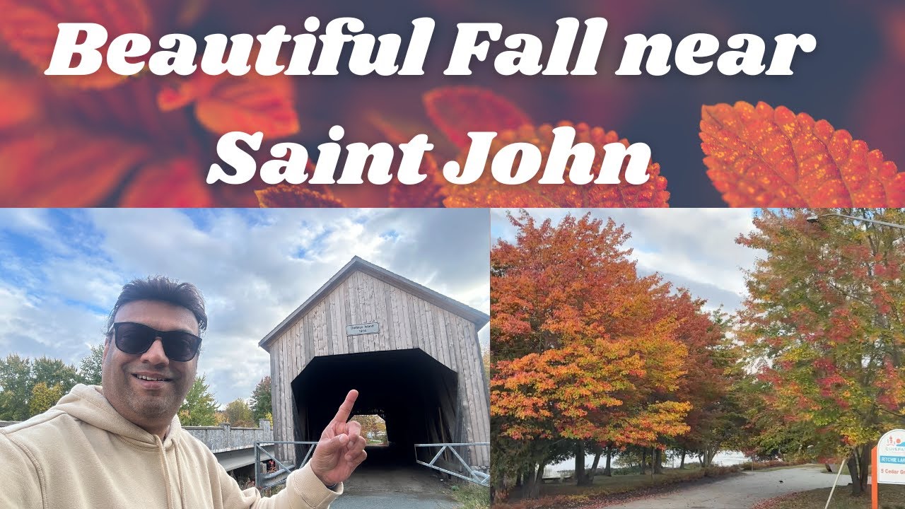 Visit to Darling Island, Richi Lake and Renforth Rotary Park | FALL ...