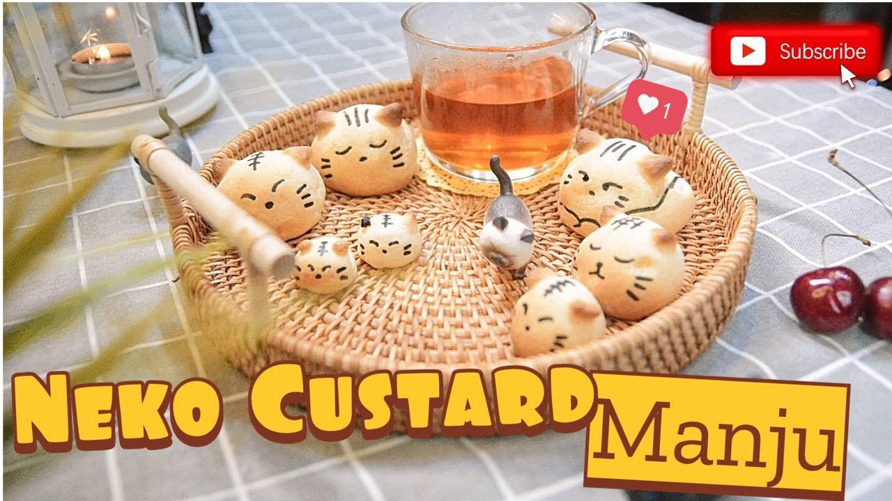 Custard Cat Manju l Diary #16 - YouTube