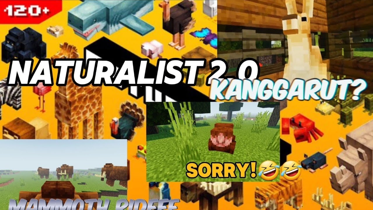 Naturalist 2.0 Showcase Minecraft Mod 1.21+ - YouTube