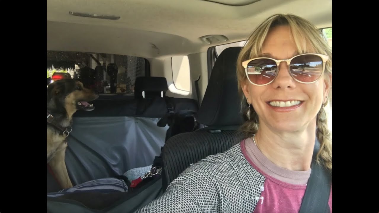 Mari Dew and The Zen Dogs : On The Road Again : Asheville - May 2024 ...