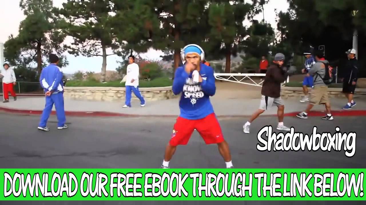 Best Exercises that Every Boxer Should Have - YouTube