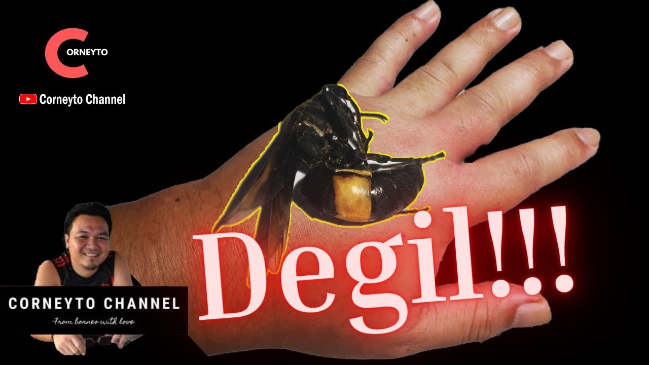 TEBUAN TANAH TUMPAS | CORNEYTO | (2021) - YouTube