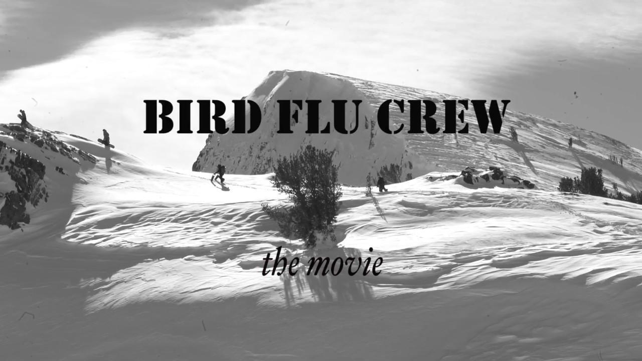 Bird Flu Crew The Movie Teaser - YouTube