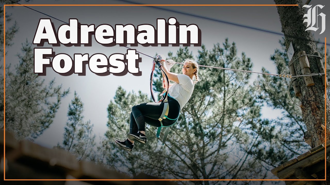 Adrenalin Forest Auckland swings into action with New Zealand's highest ...