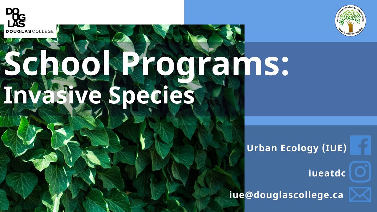 School Programs: Invasive Species - YouTube