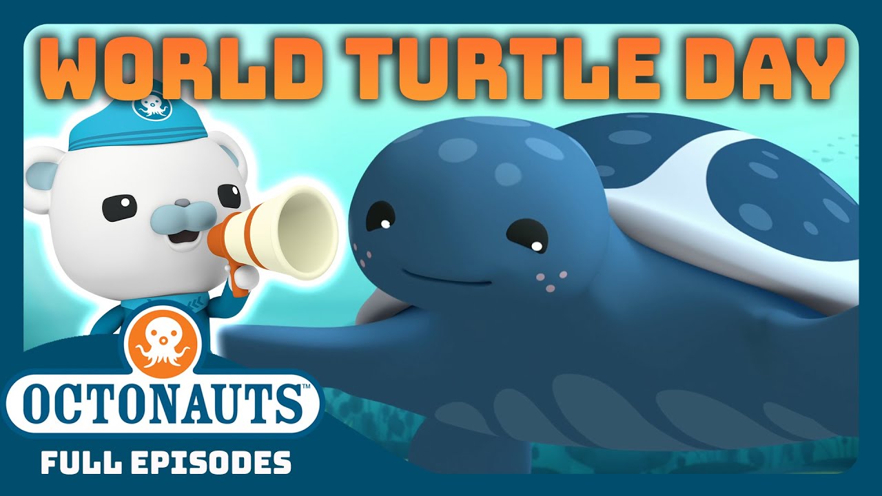 @Octonauts - 🌍 World Turtle Day Special! 🐢 | 30 Mins+ Full Episodes ...