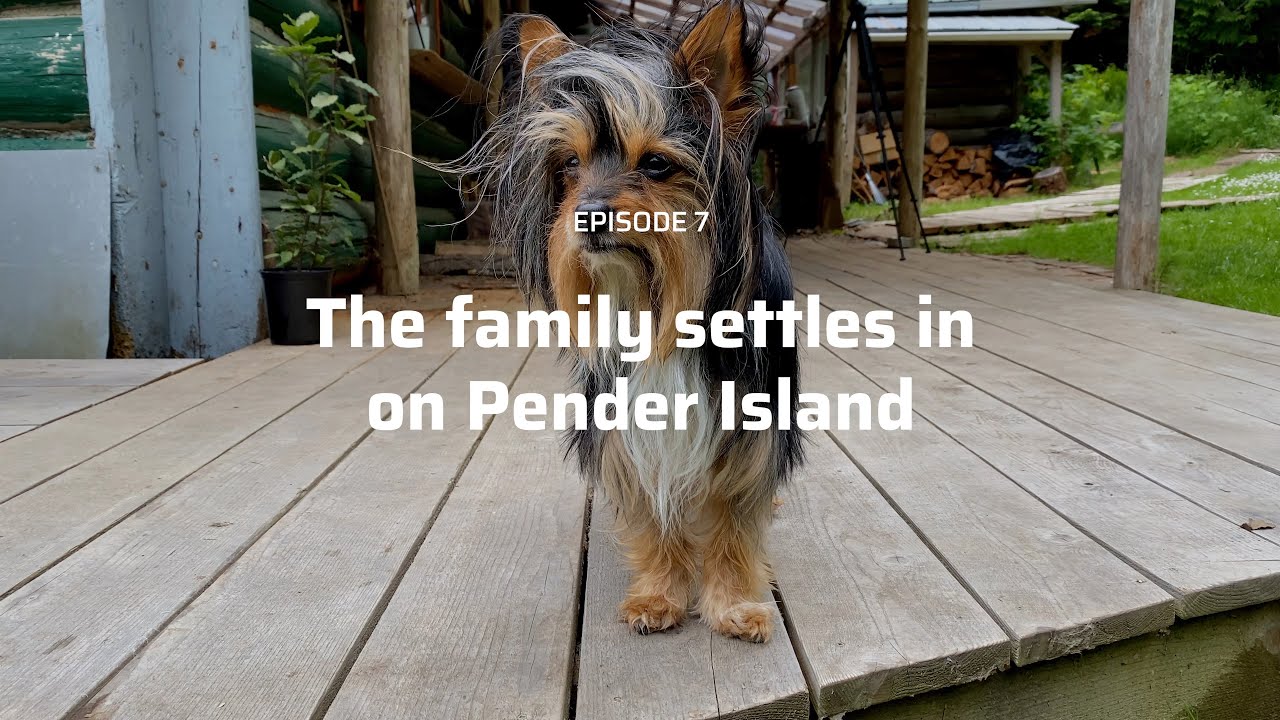 Ep. 7 - The Family Settles in on Pender Island: Dawn & the Dogs Move to ...