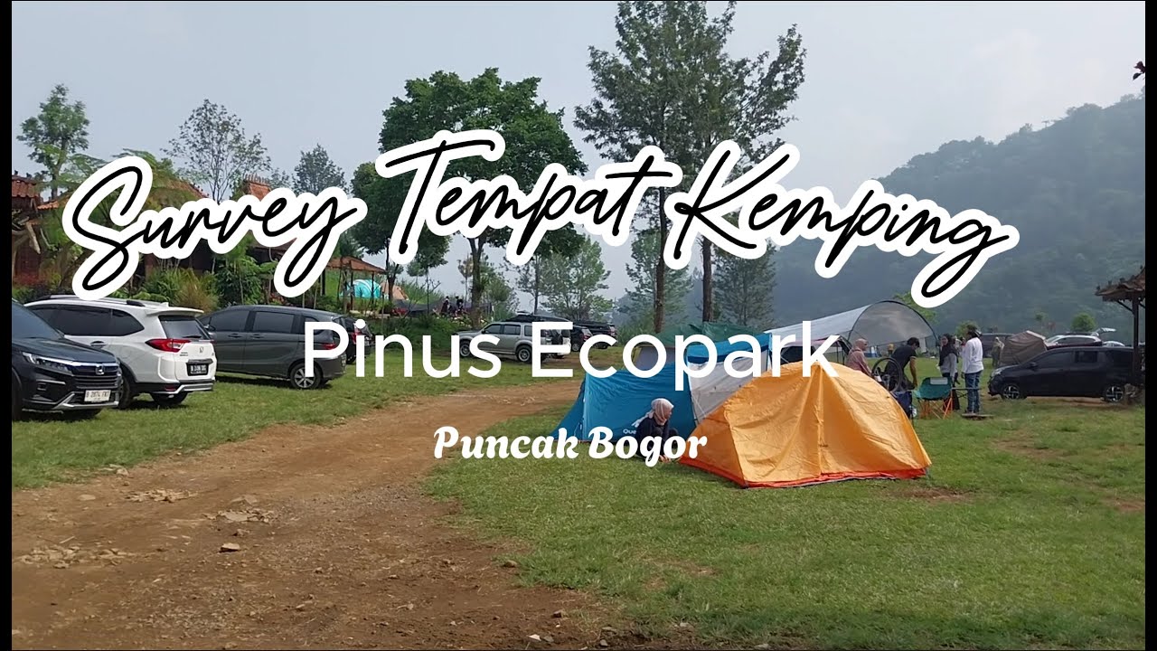 Jalan-jalan ke Puncak Bogor sekalian Survey tempat Kemping | Pinus ...