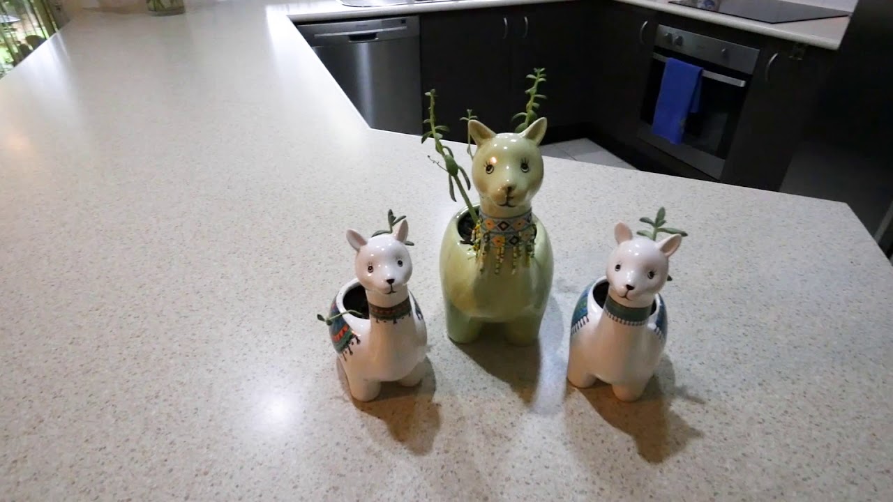 8 Nathan Close, Cooranbong Video - YouTube