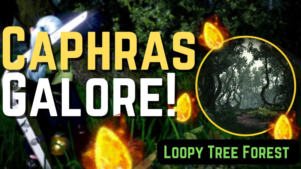 Life Of A Shai #25: Loopy Tree Sapping - Black Desert Online - YouTube