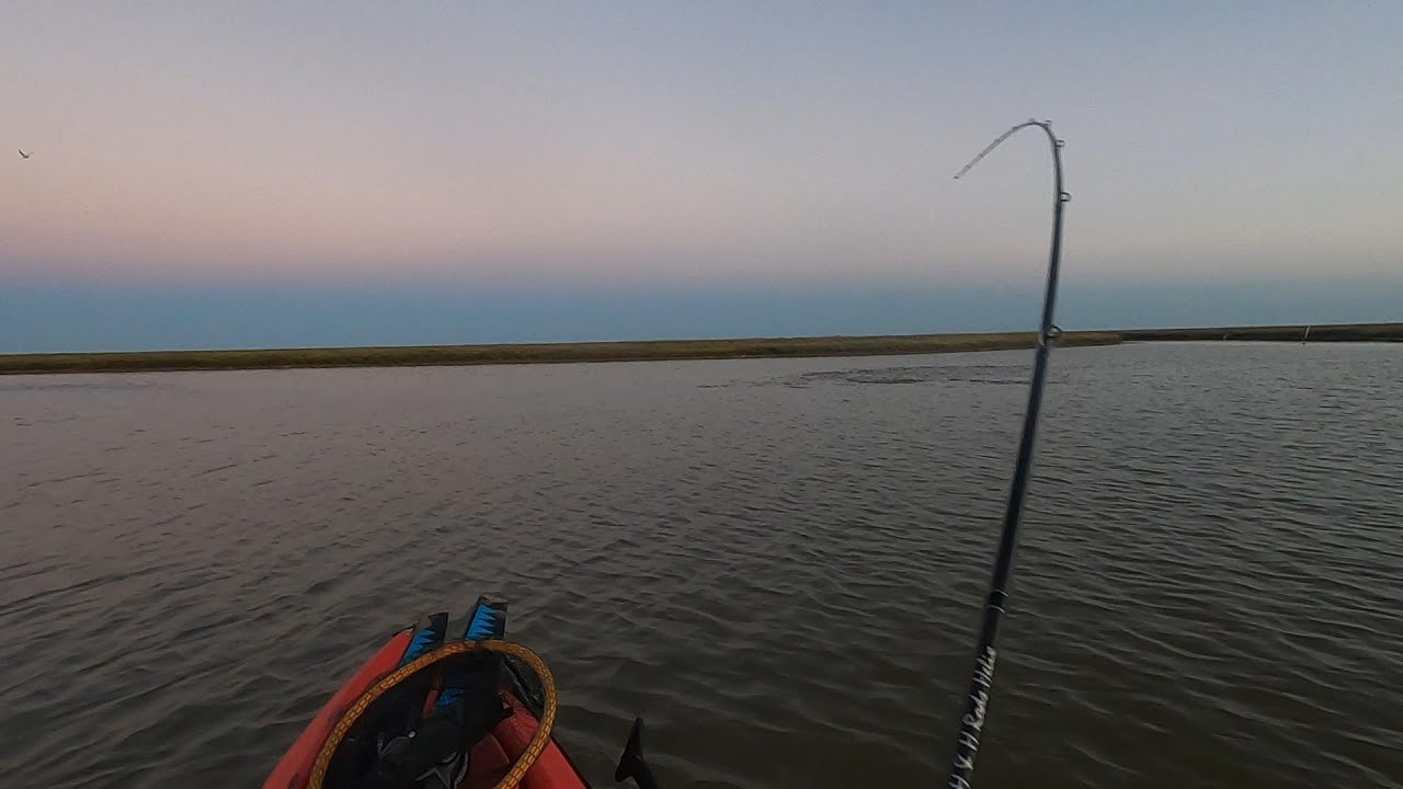 Huge School Of Redfish!!! - YouTube