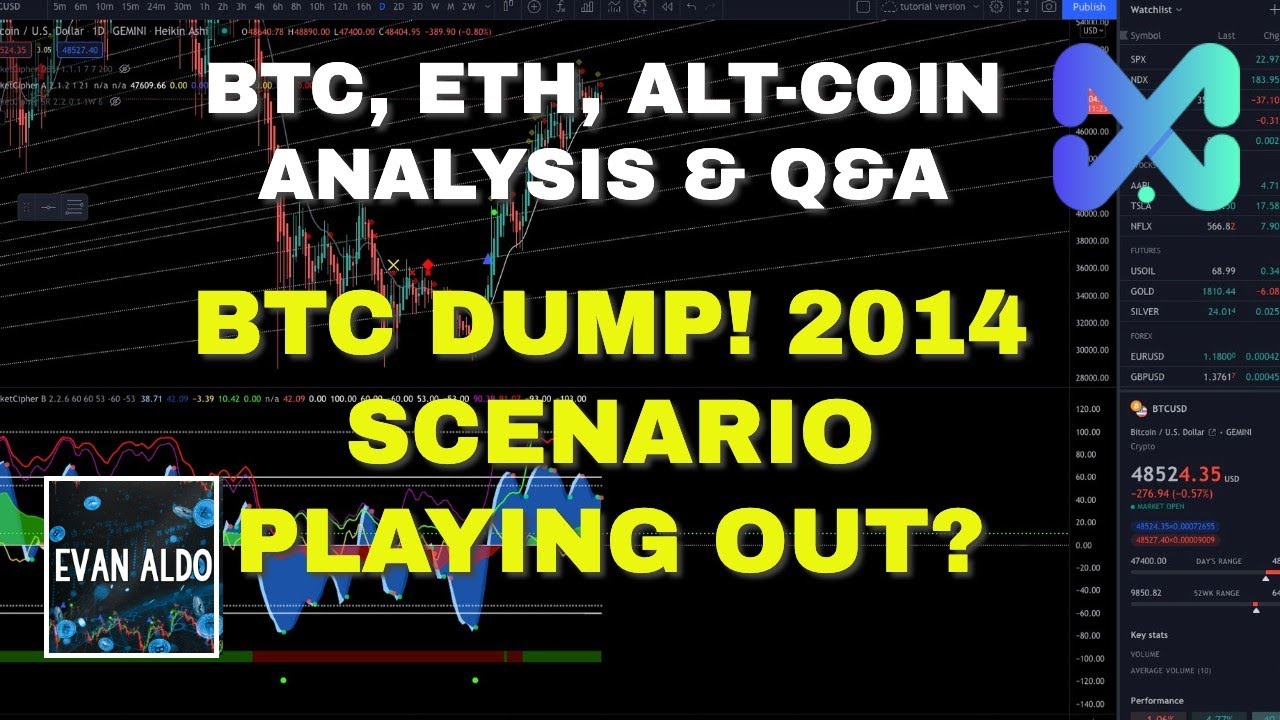 BITCOIN, ETH, ALT-COIN ANALYSIS! BTC DUMP! 2014 SCENARIO PLAYING OUT ...