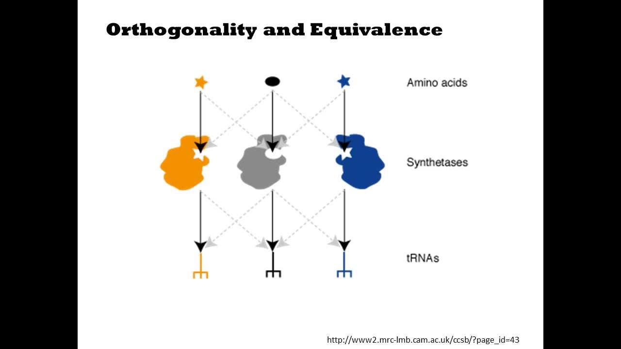 Orthogonality and Equivalence - YouTube