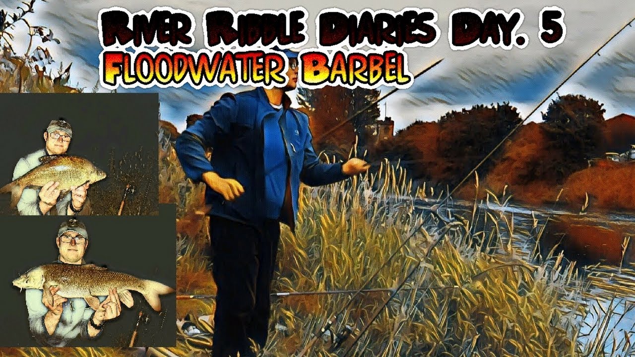 River Ribble Fishing Diaries Day 5. Barbel in flood - YouTube