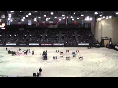 GIA-FEI WORLD CUP DRIVING FINALE - GINEVRA2013