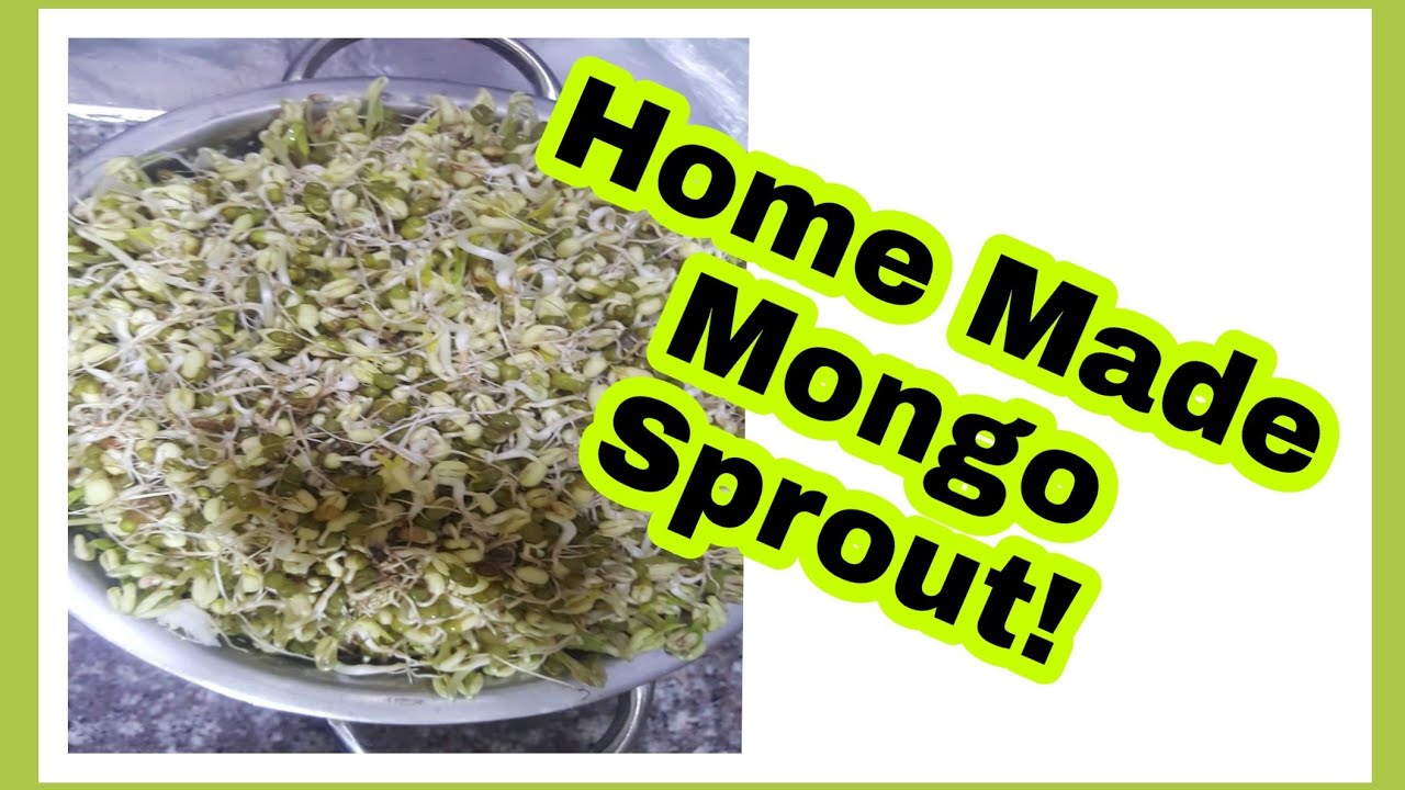 HOME MADE SPROUT! - YouTube