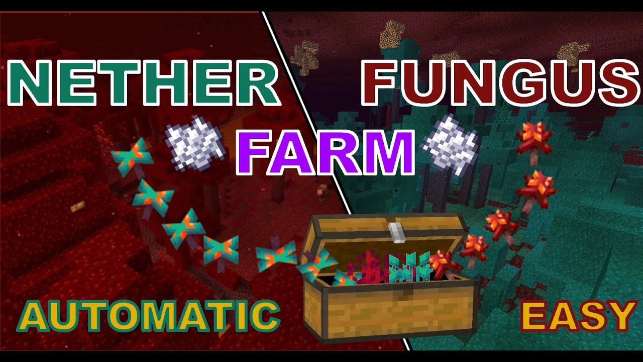 Easy Nether Fungus Farm (Minecraft Java 1.16+) - YouTube
