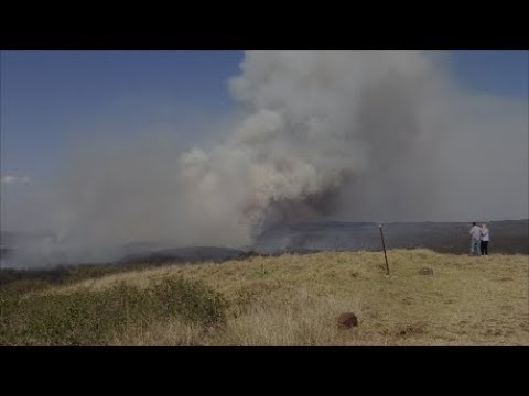 Bush Fire update.16 Nov 2019. Video, age restricted. Not for children ...
