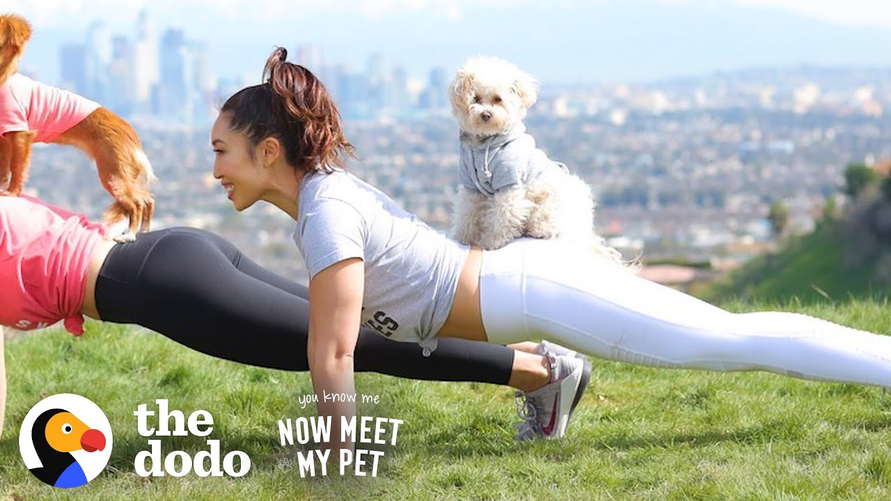 How To Workout With Your Dog | The Dodo You Know Me Now Meet My Pet ...