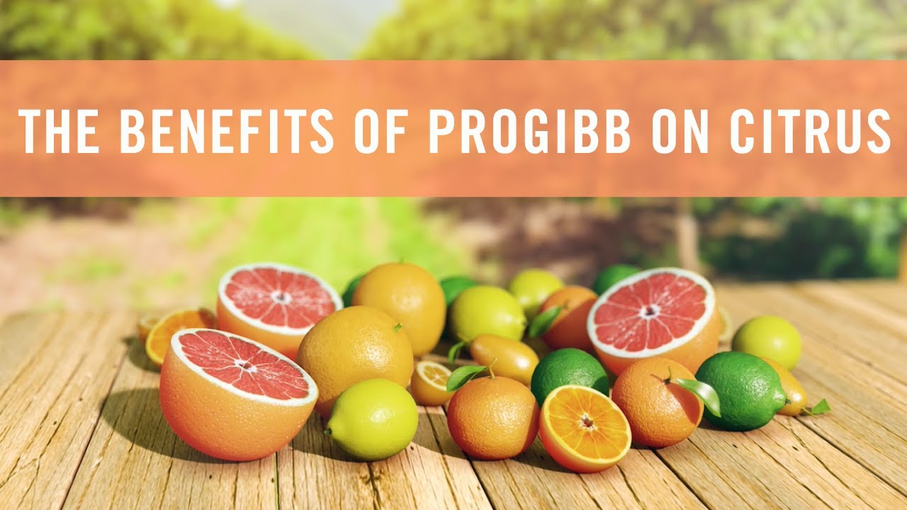 The Benefits of ProGibb on Citrus - YouTube