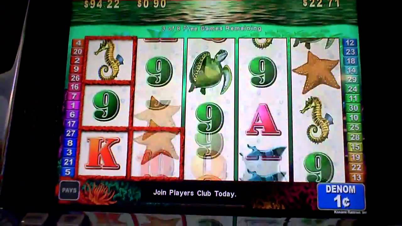 Ocean Wild Slot Machine Bonus - YouTube