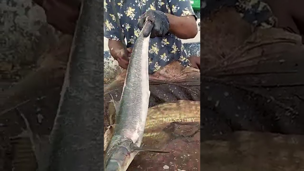 5KG KADAL VEERAL MEEN | #SHORTS | MEEN STORY - YouTube