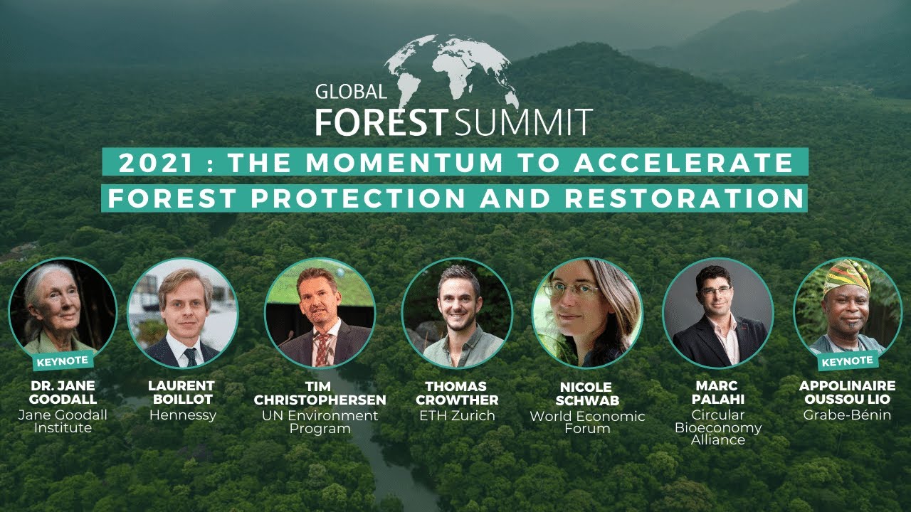Global Forest Summit: 2021 - The Momentum to accelerate Forest ...