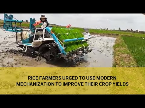 Rice farmers urged to use modern mechanization to improve their crop ...