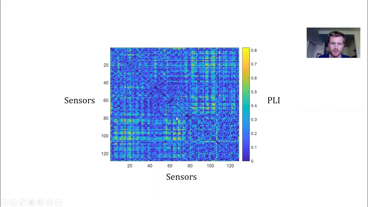 EEG Connectivity using the Phase-Lag Index (PLI) - YouTube