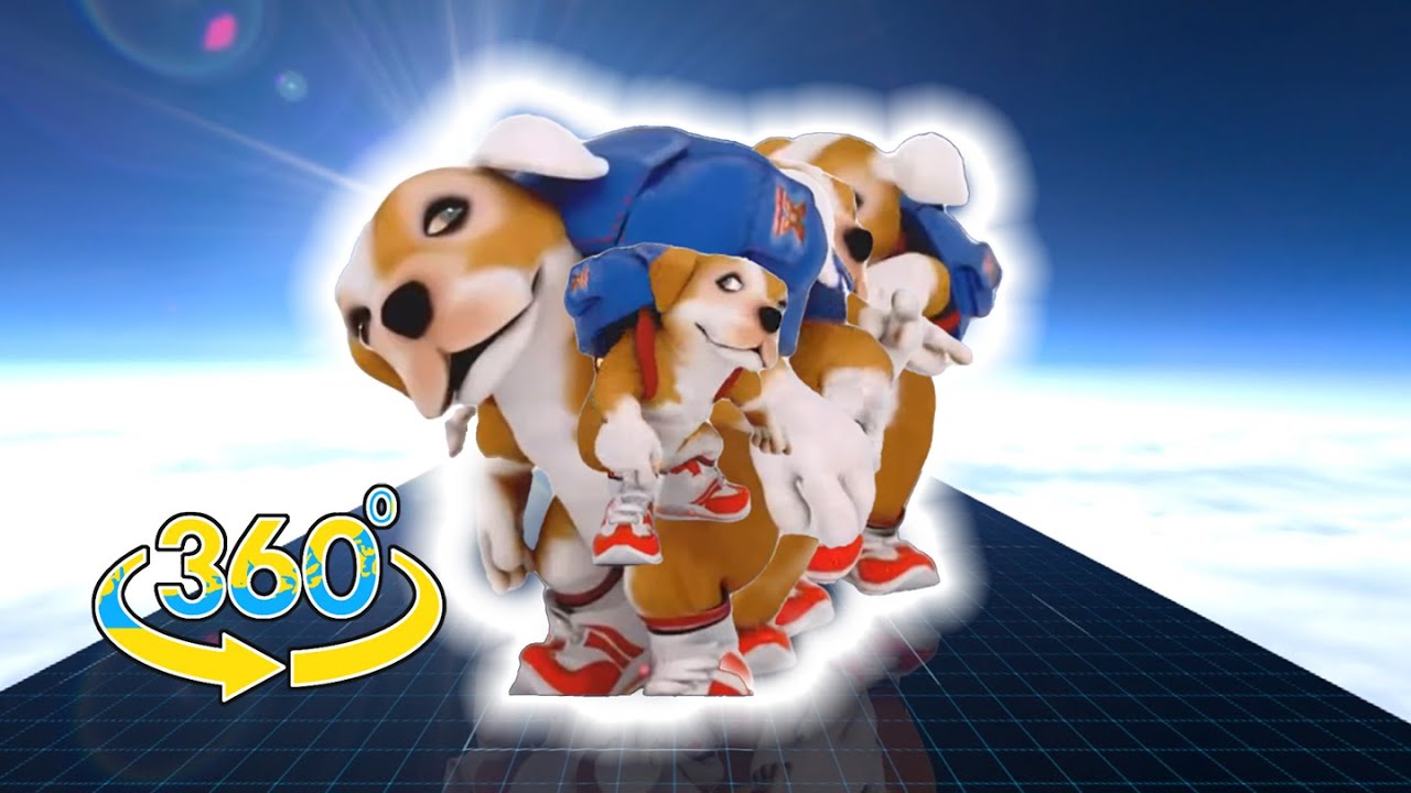 +1️⃣🐶 The Dog Chacarron🐶 every 1 seconds - YouTube