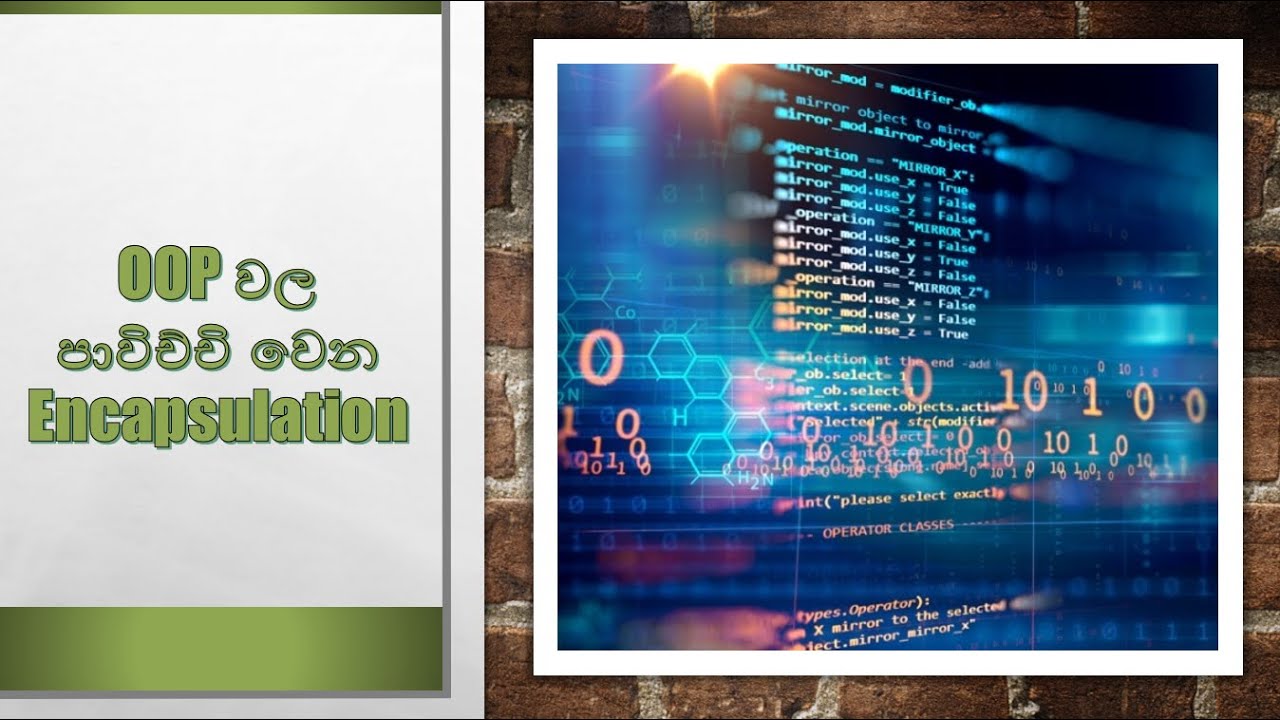 OOP Encapsulation in Sinhala | Lesson 6 - YouTube