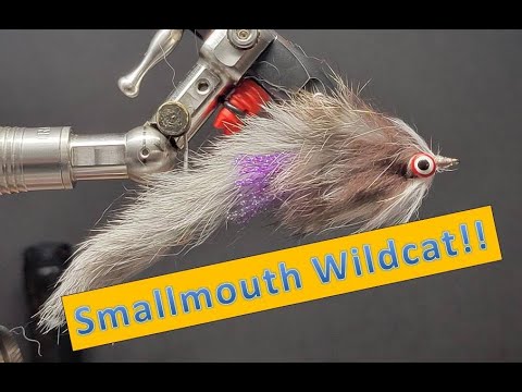 Chad Miller's Wildcat Streamer - YouTube