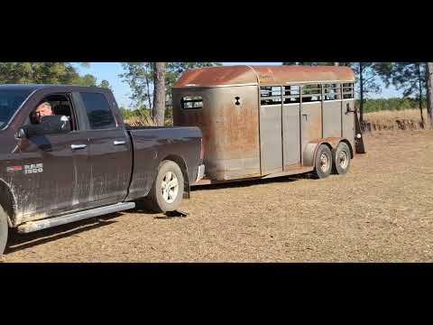 Big Bruce Arrived Today - YouTube