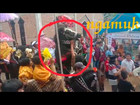 sampe nangis kudanya gk bisa di kontrol (KUDA MENARI MANDAR PUNYA)