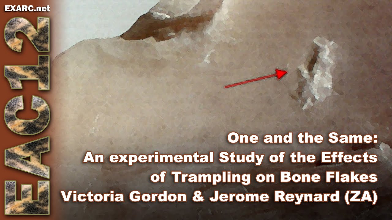 One and the Same: An experimental Study of the Effects of Trampling on ...
