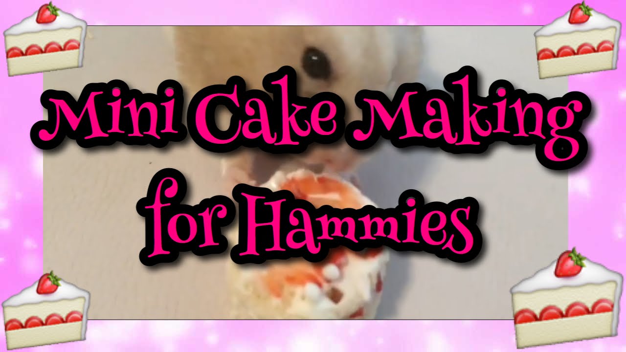 Hamster mini cake recipe. - YouTube