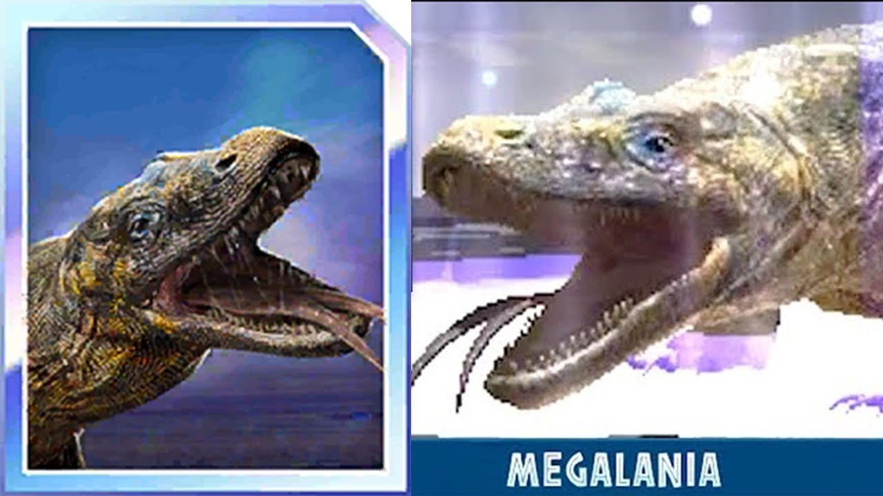 Megalania Size Comparison