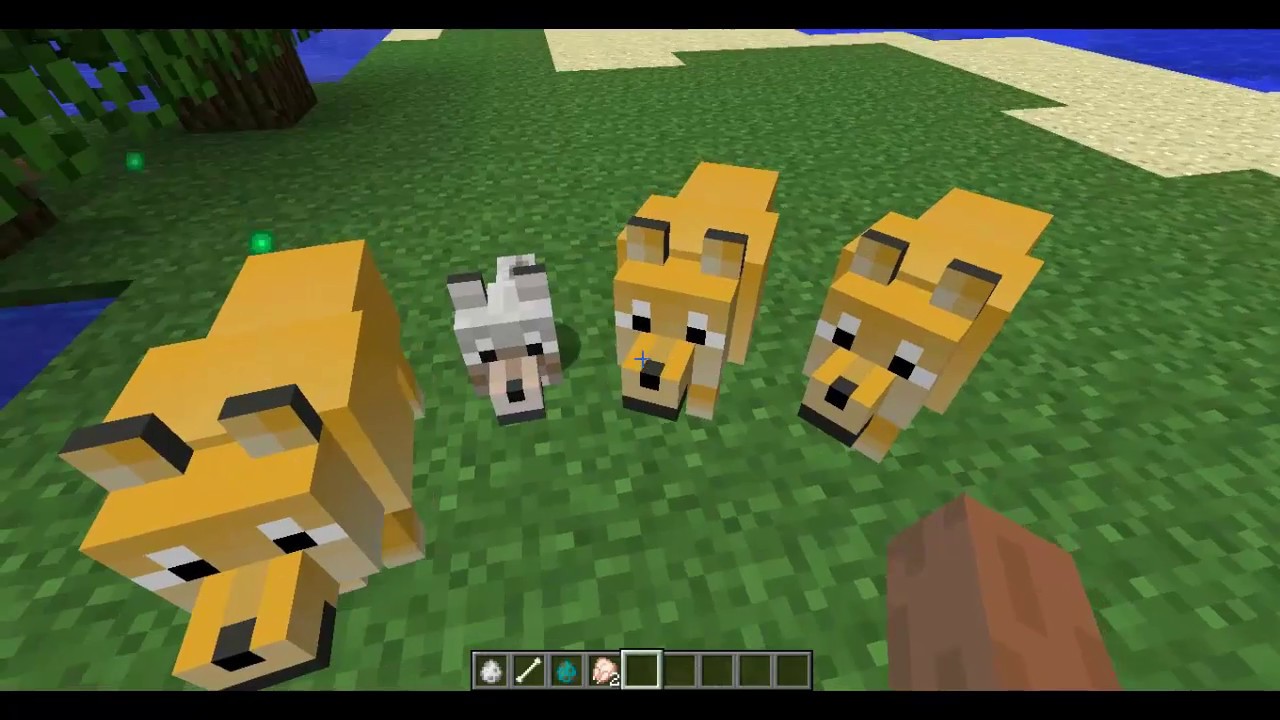 Model Wilka do pobrania! - YouTube