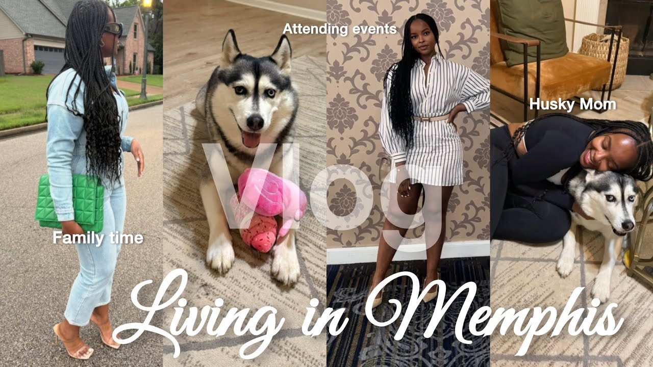 Memphis Vlog| Husky Mom, Brunch at the Peabody Hotel, How I manifested ...