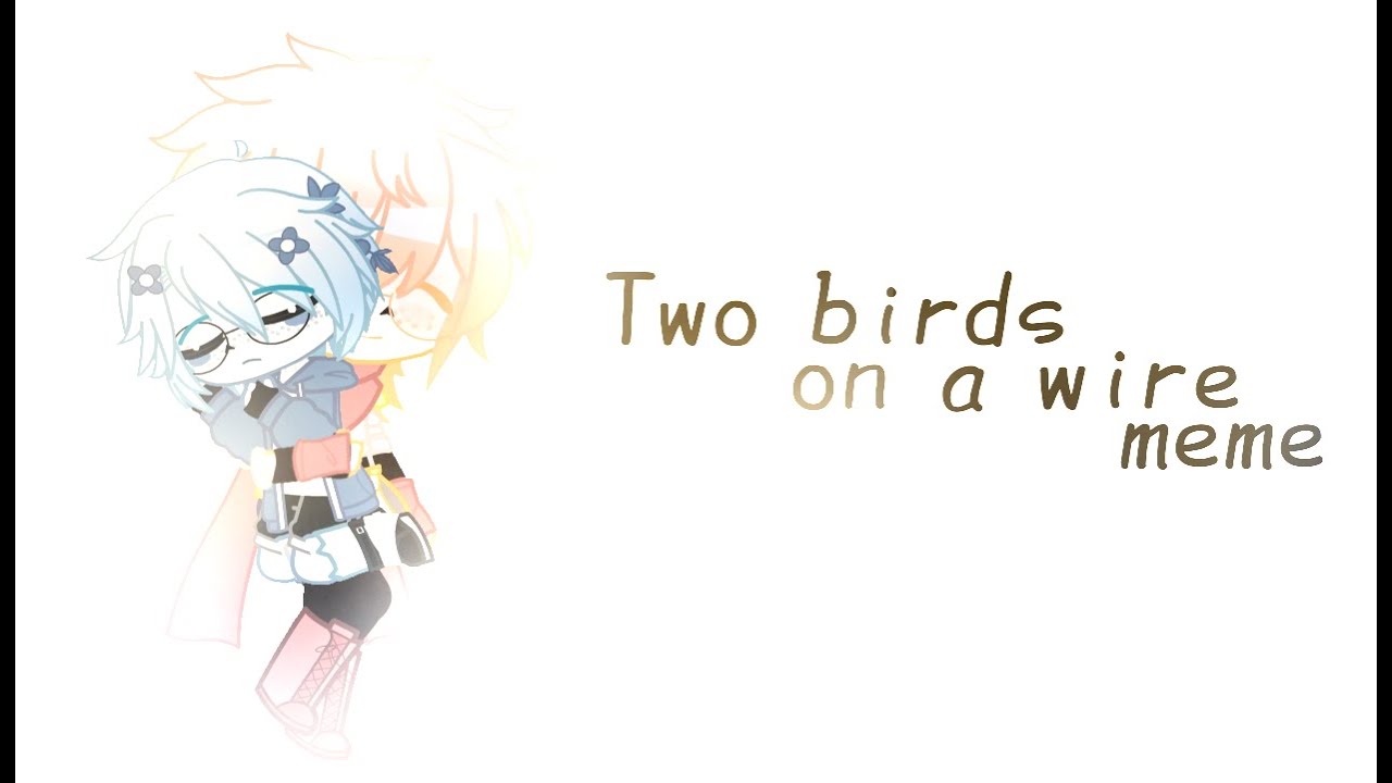|¦two birds on a wire¦¦¦meme¦| - YouTube
