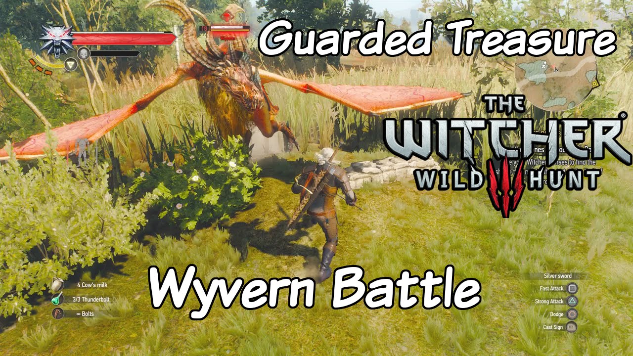 The Witcher 3: Wild Hunt | Guarded Treasure + Wyvern Battle! - YouTube