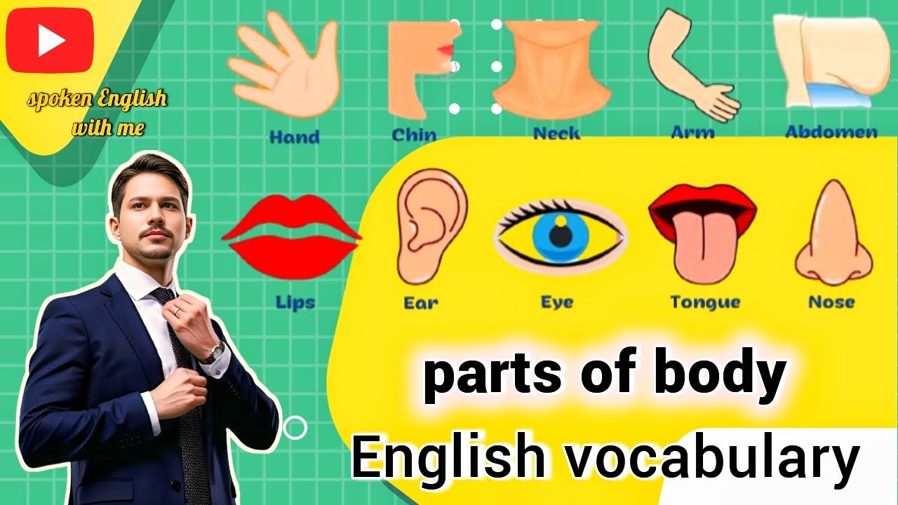 Parts of Body English Vocabulary - YouTube